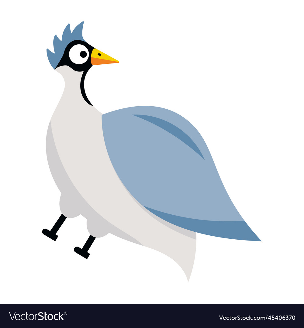 Partridge Royalty Free Vector Image - VectorStock