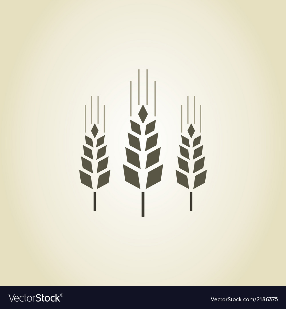 Wheat Royalty Free Vector Image - VectorStock