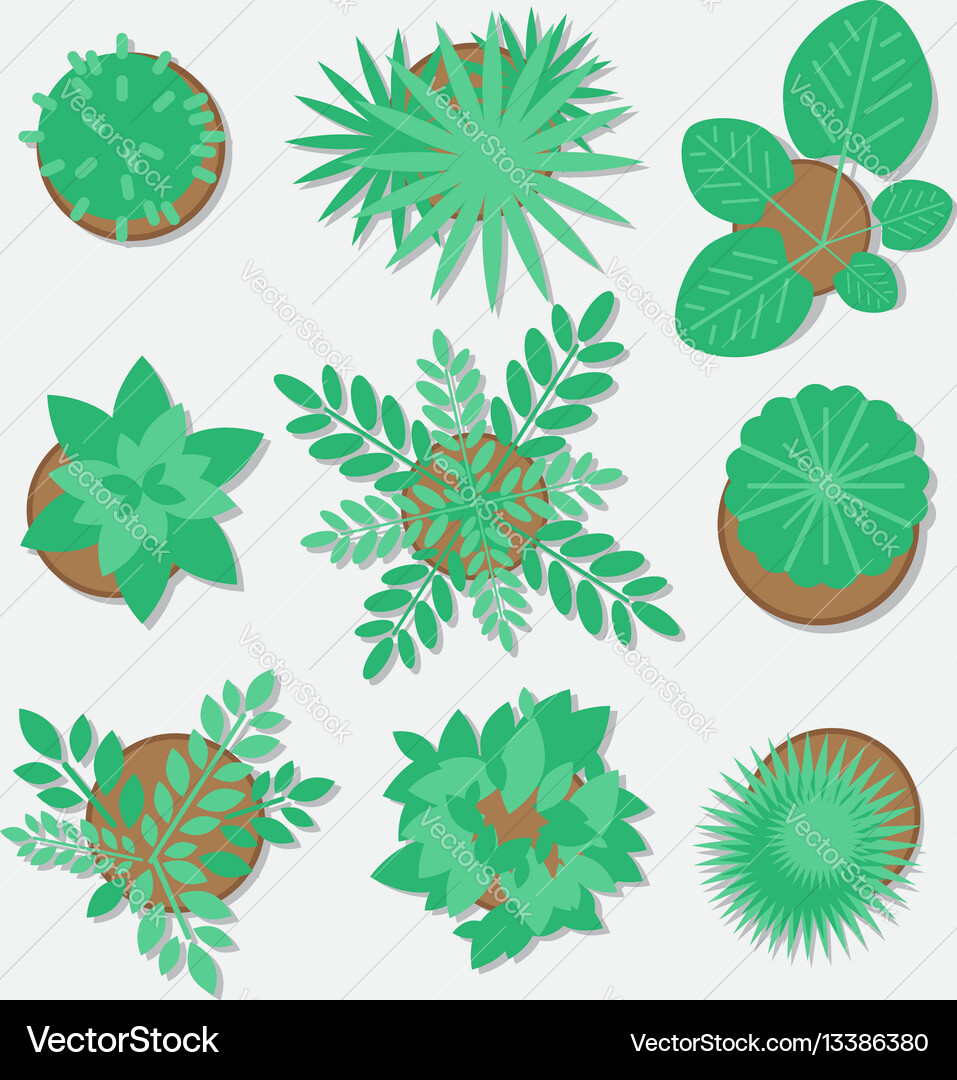 Collection of plants for web design flat style Vector Image