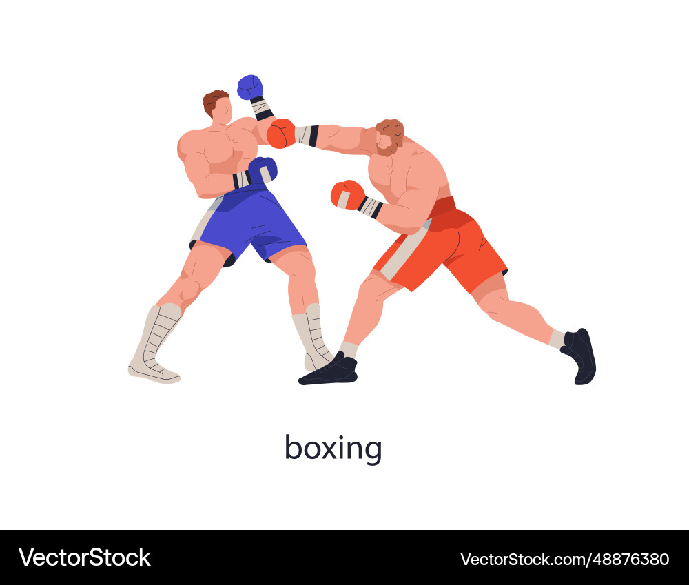 People boxing sport fighters box combat Royalty Free Vector