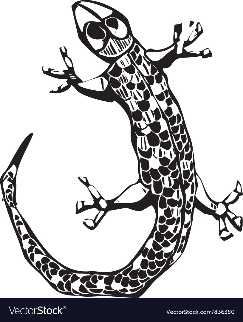 Simple lizard Royalty Free Vector Image - VectorStock