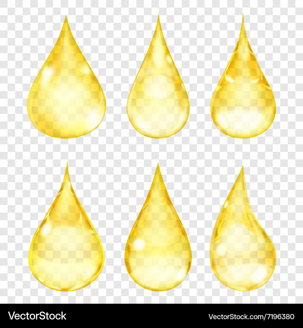 Transparent drops Royalty Free Vector Image - VectorStock