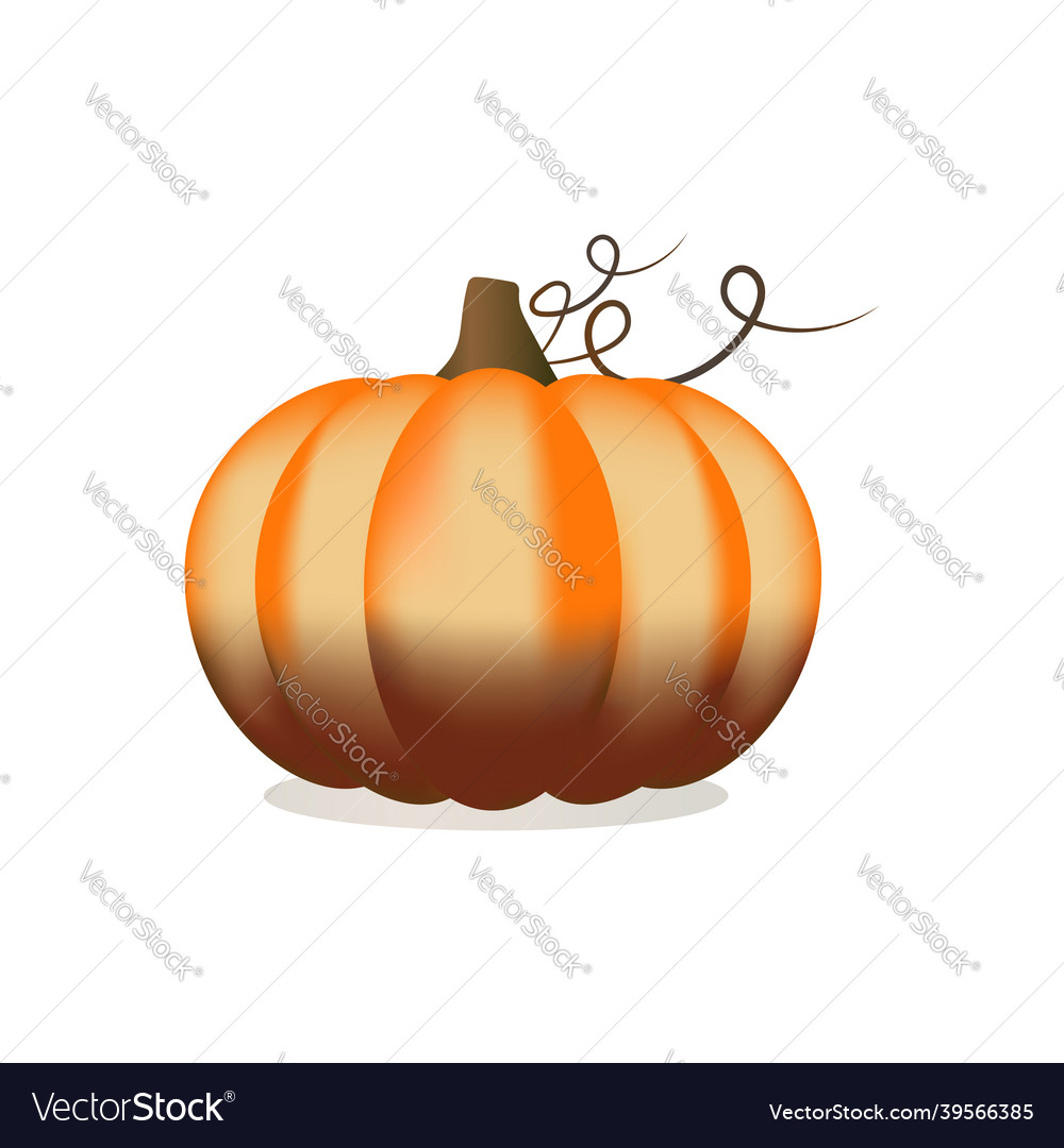 Pumpkin Royalty Free Vector Image - VectorStock