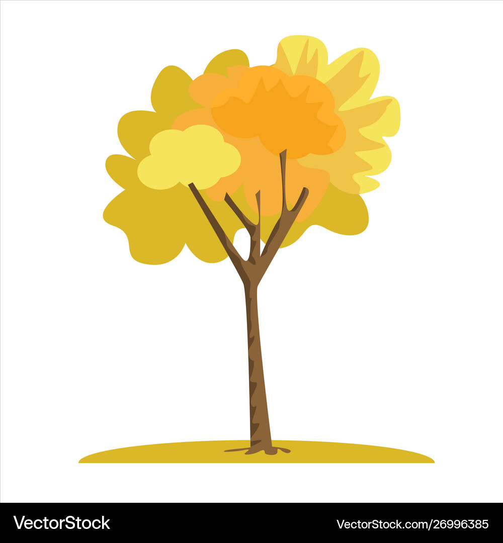 Single yellow tree in autumn season fall Vector Image