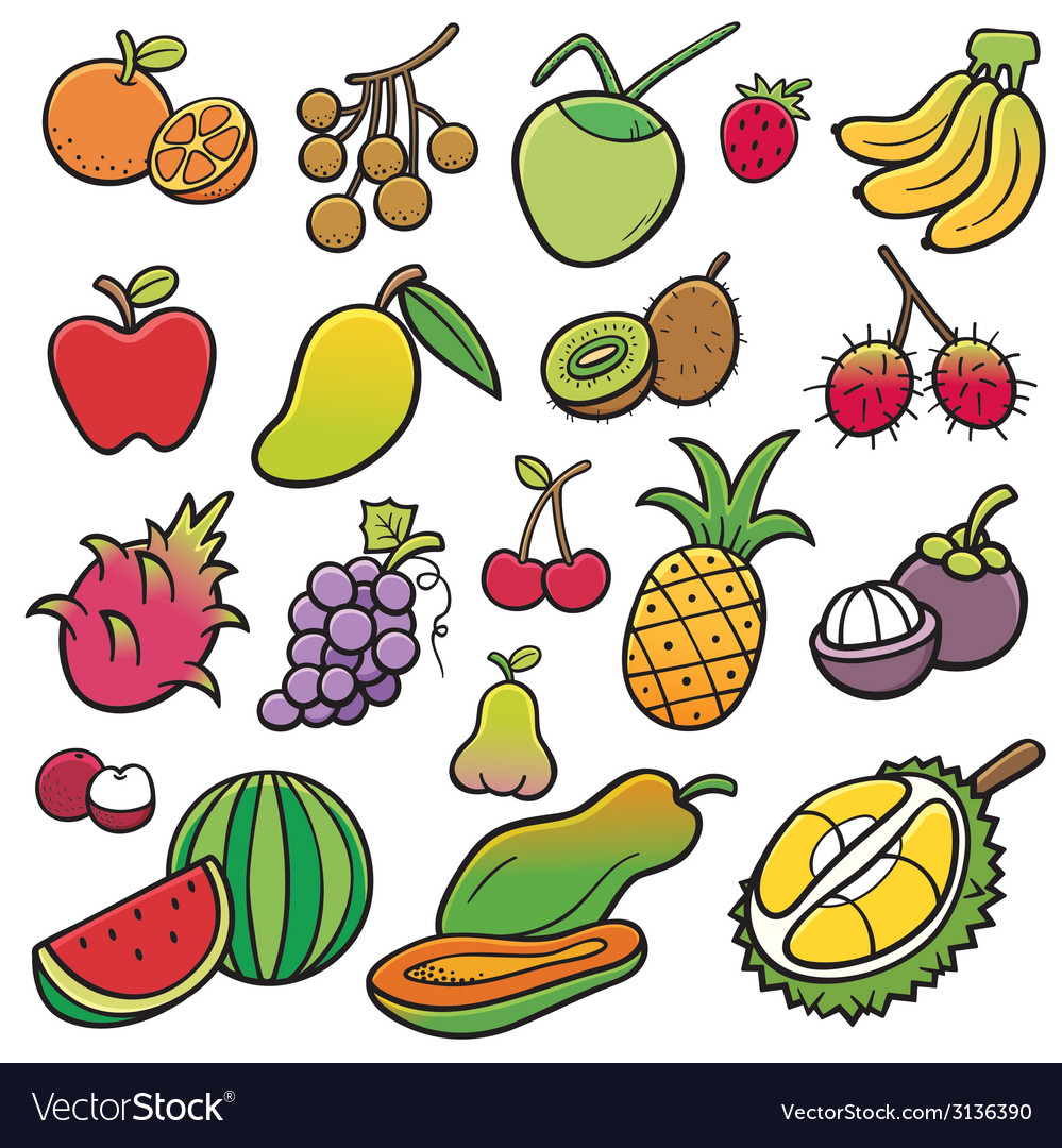 Fruit Royalty Free Vector Image - VectorStock