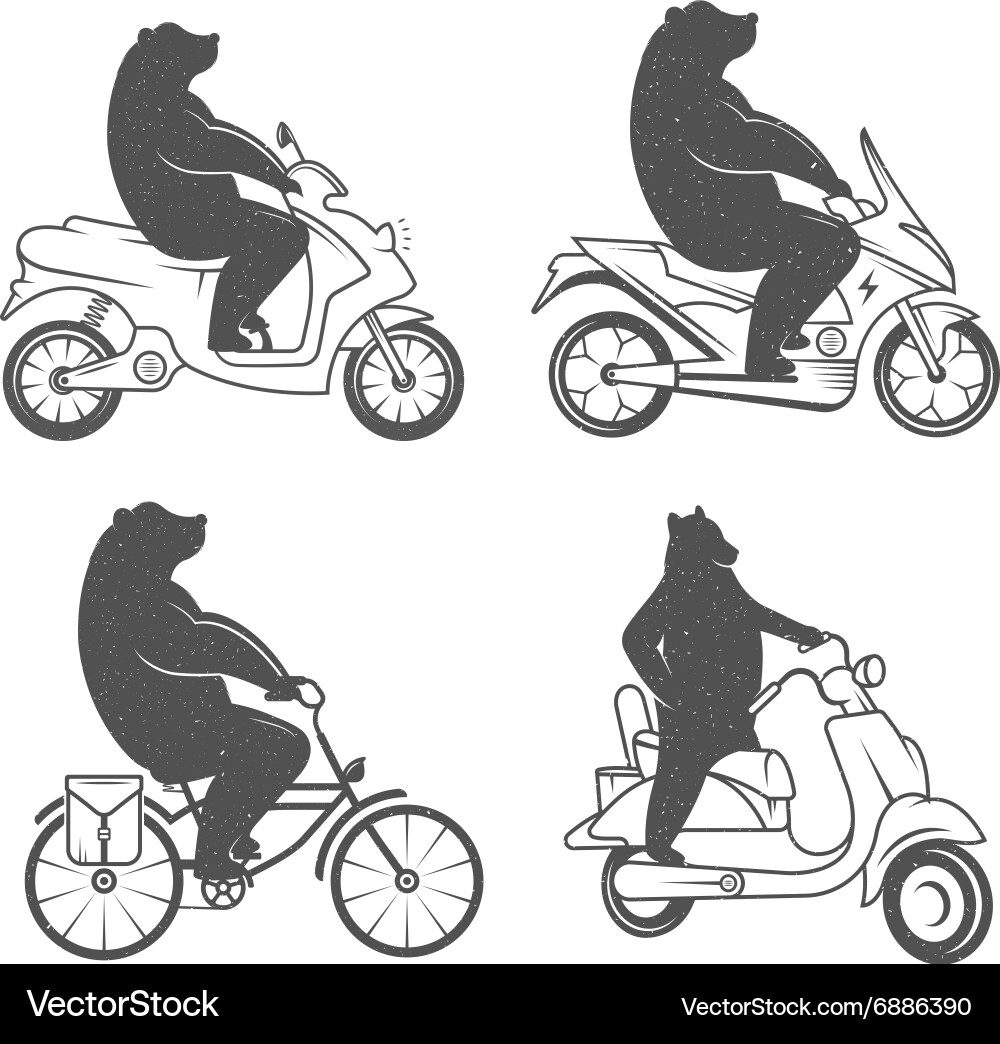 Vintage of bear Royalty Free Vector Image - VectorStock
