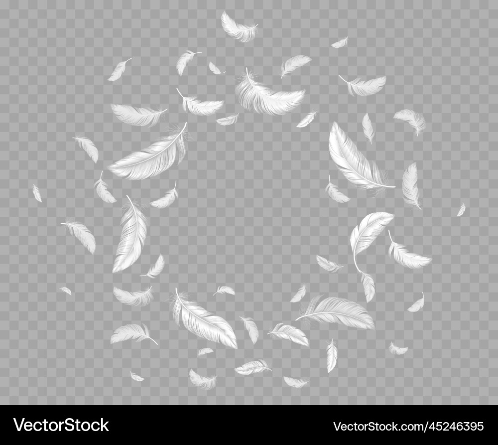 Feathers frame round border of white fluffy down Vector Image