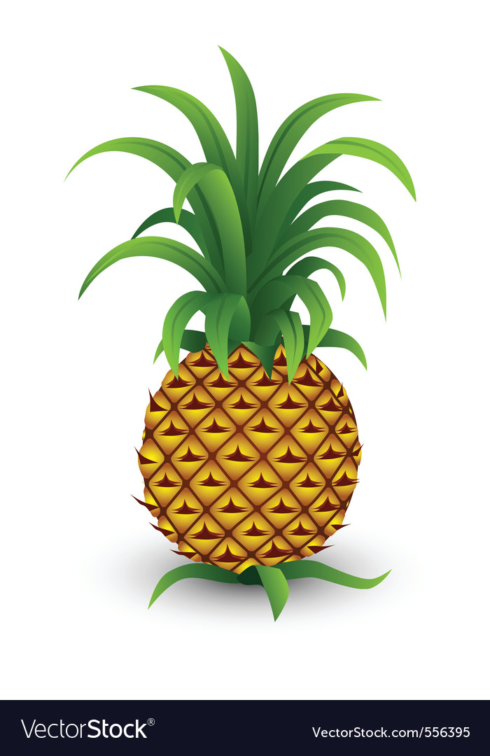 Pineapple Royalty Free Vector Image - VectorStock