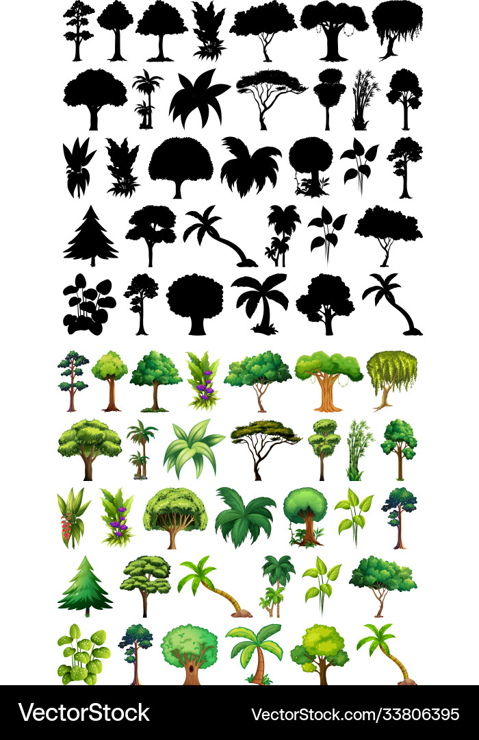 Set plant and tree with its silhouette Royalty Free Vector
