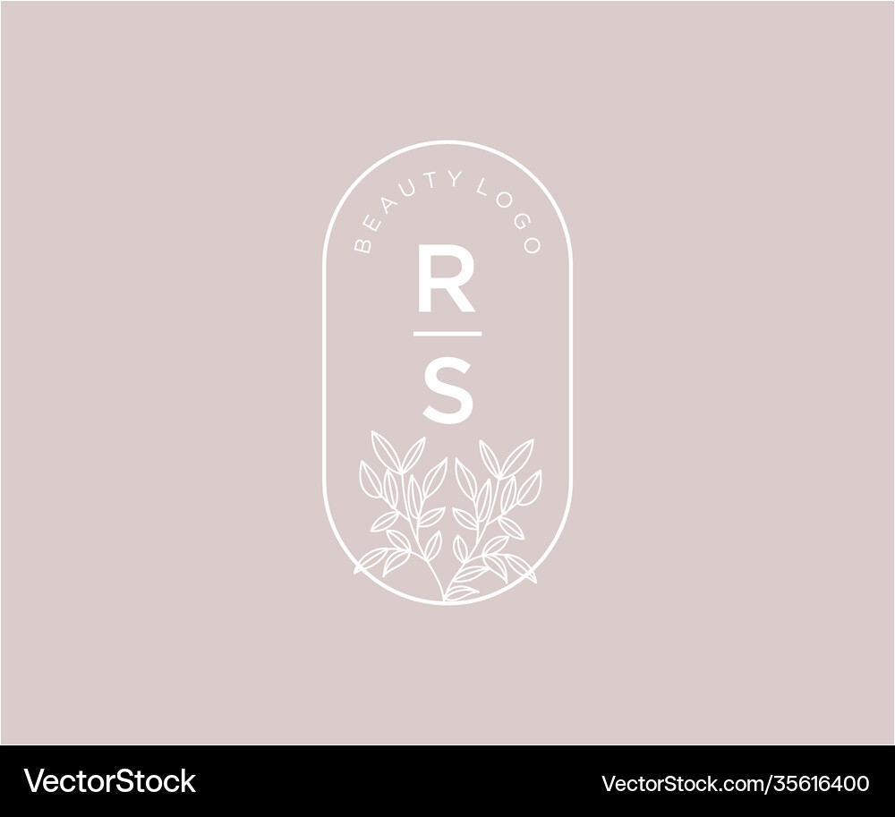 Initial rs letters beautiful floral feminine Vector Image