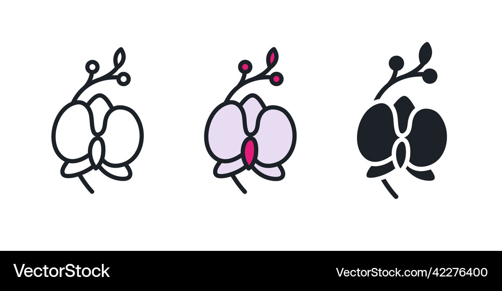 Orchid icon home flowers isolated Royalty Free Vector Image
