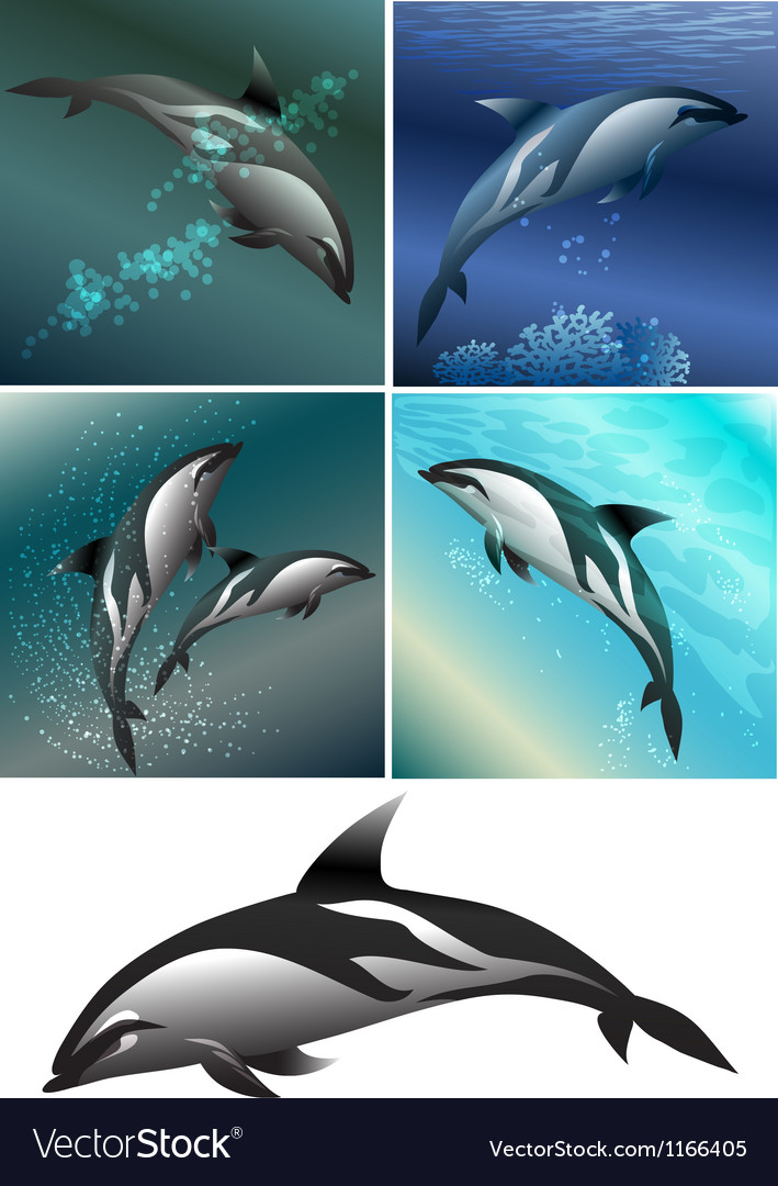 Dolphin set Royalty Free Vector Image - VectorStock