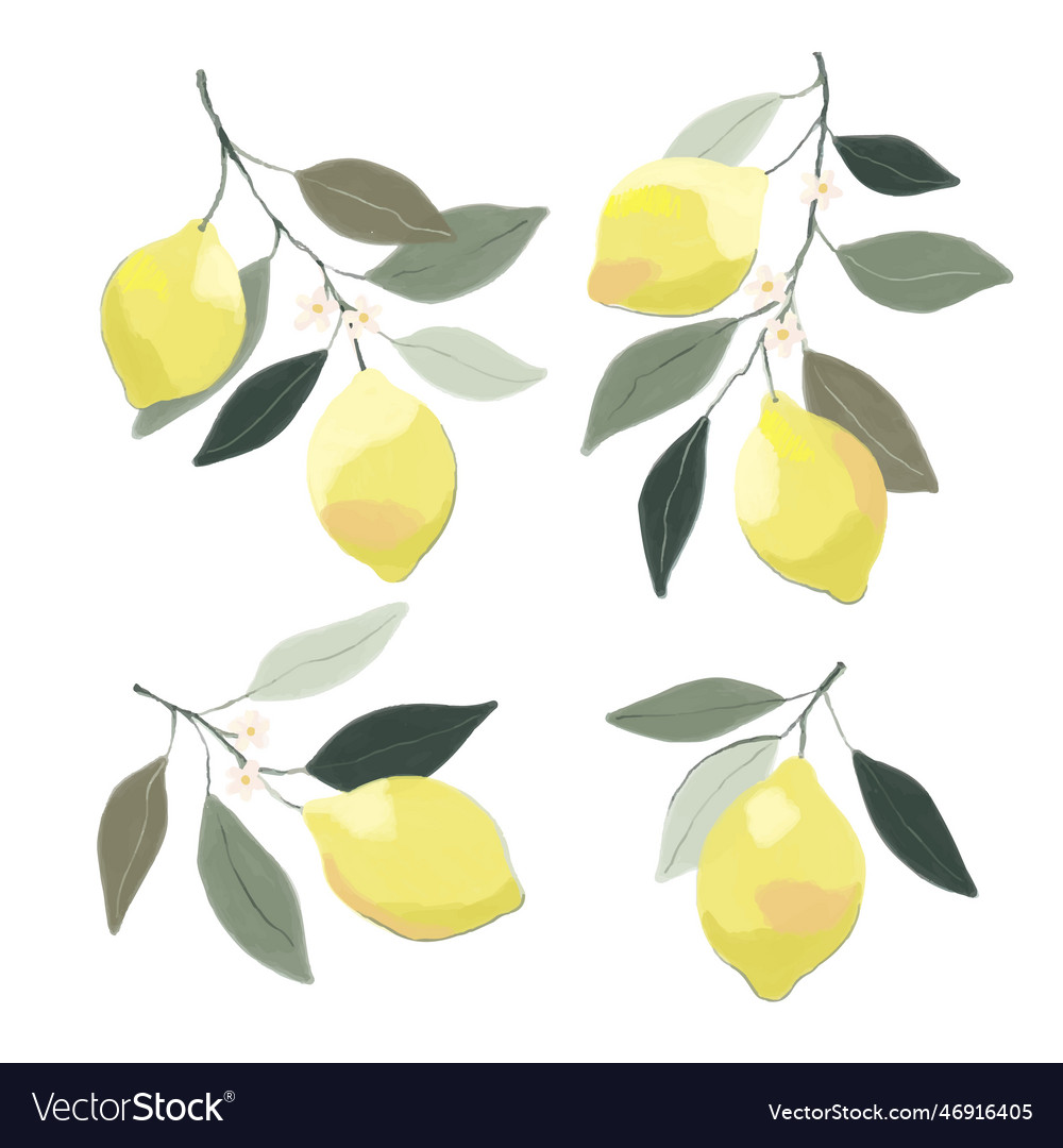 Set of lemon branches hand drawn tree branch Vector Image