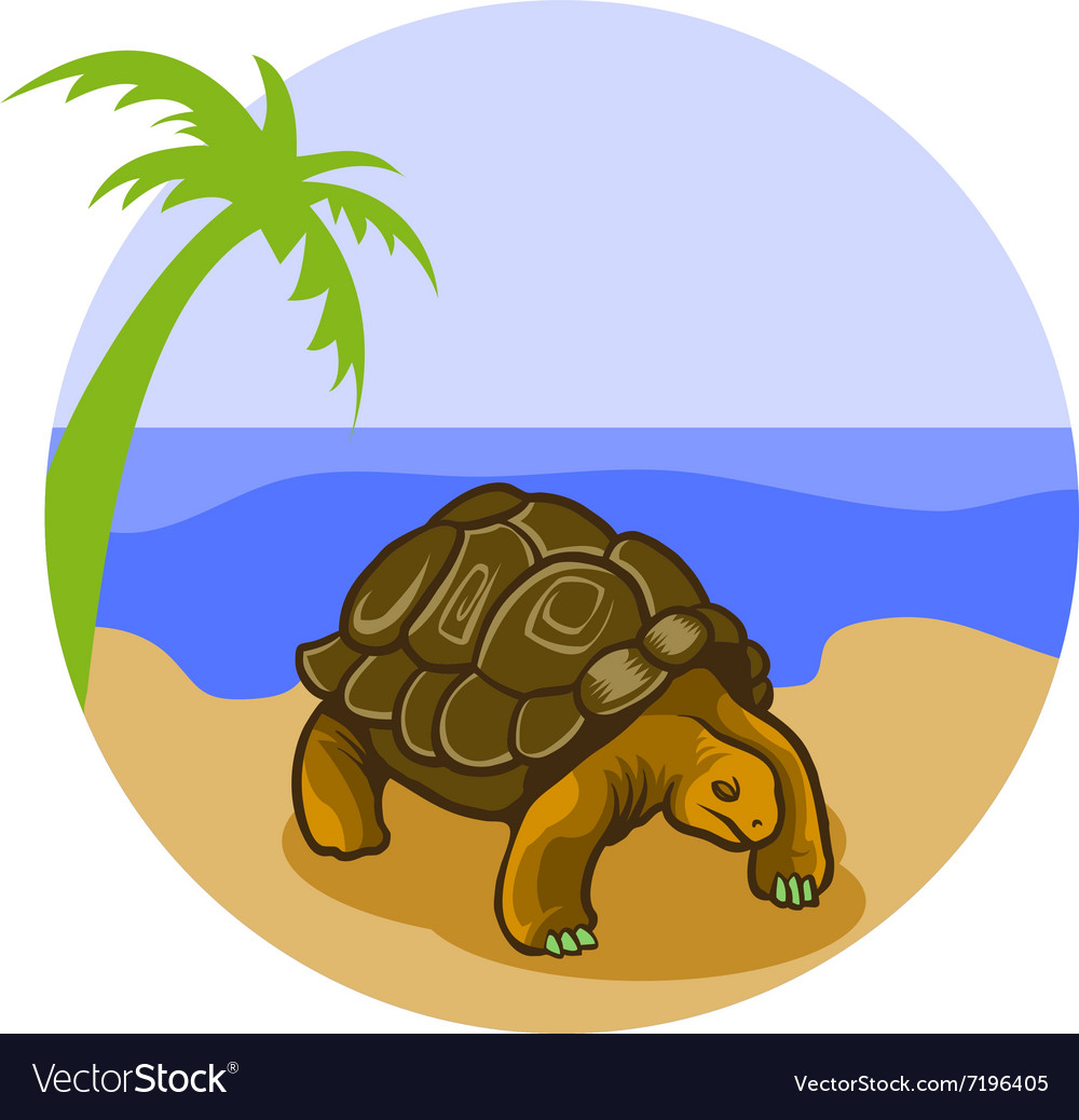 Turtle on the beach Royalty Free Vector Image - VectorStock