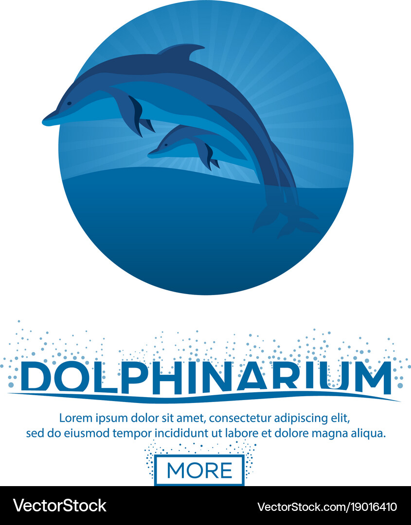 Dolphinarium dolphin show banner ticket Royalty Free Vector