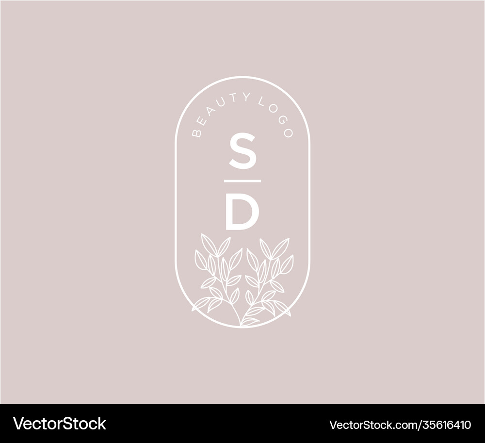 Initial sd letters beautiful floral feminine Vector Image
