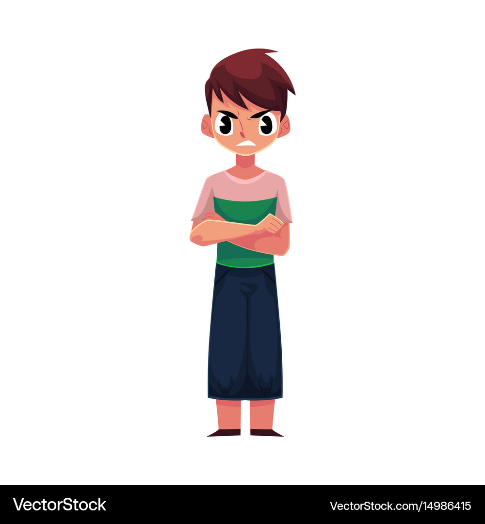 Frowning angry little boy standing with arms Vector Image