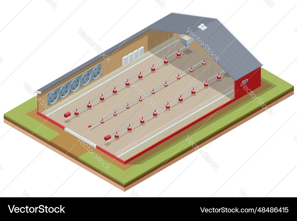 Isometric indoors chicken farm feeding Royalty Free Vector