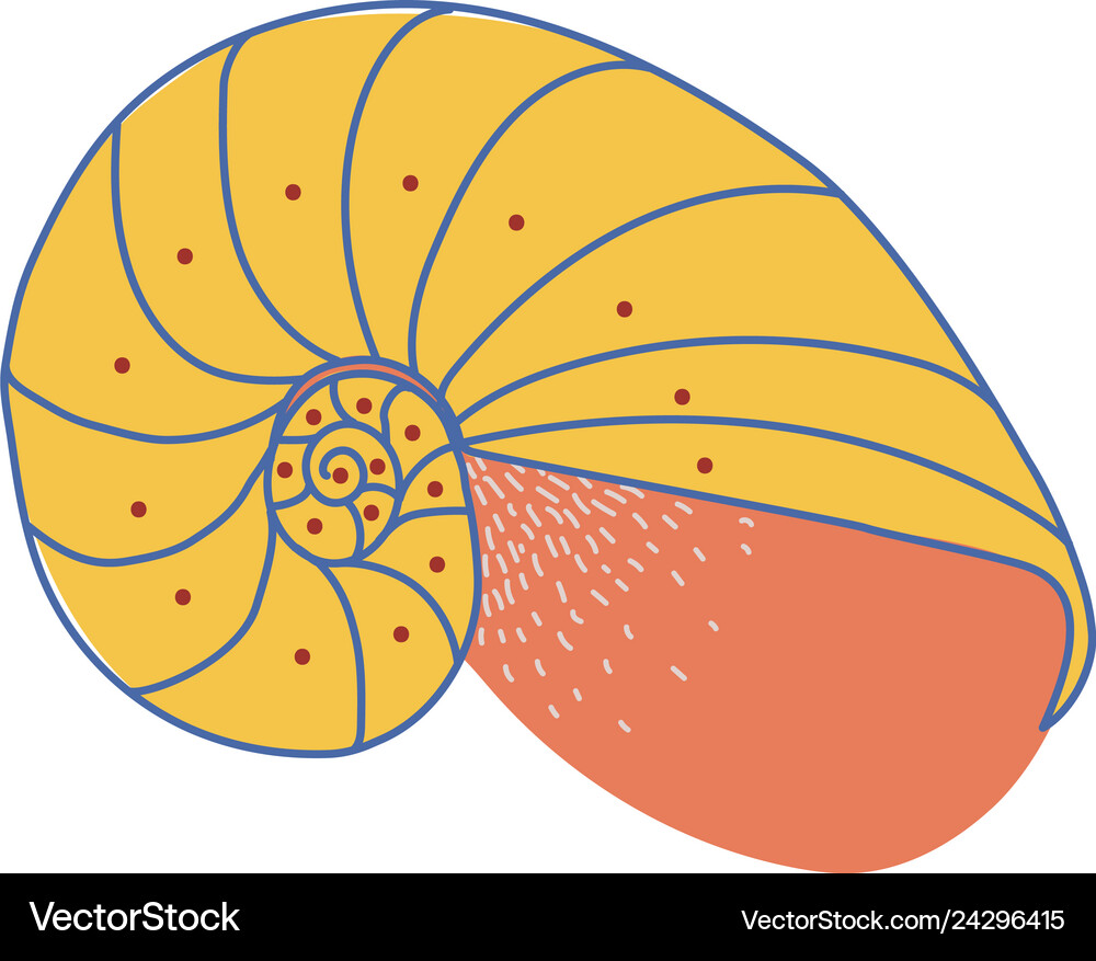 Marine underwater nature aquatic seashell Vector Image