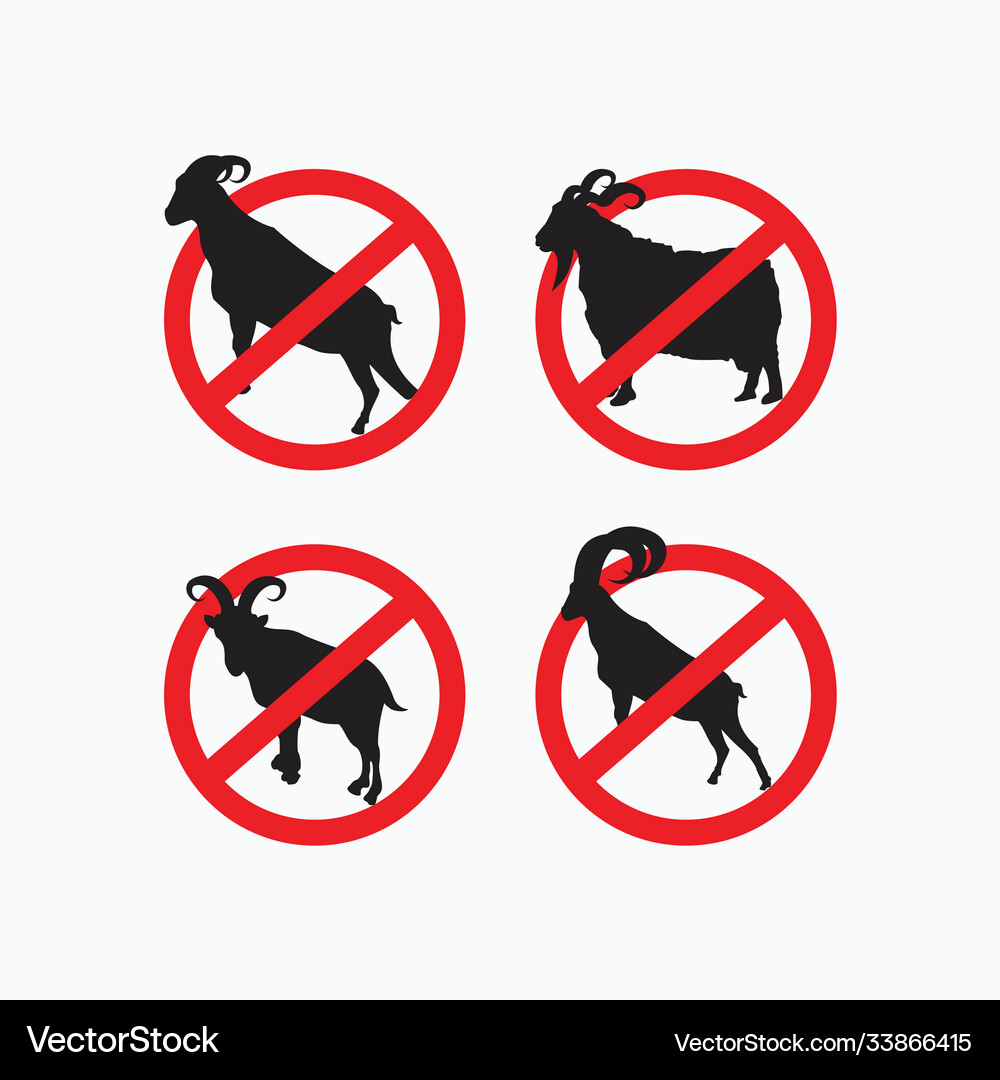 No sheep angora goat billy goat Royalty Free Vector Image