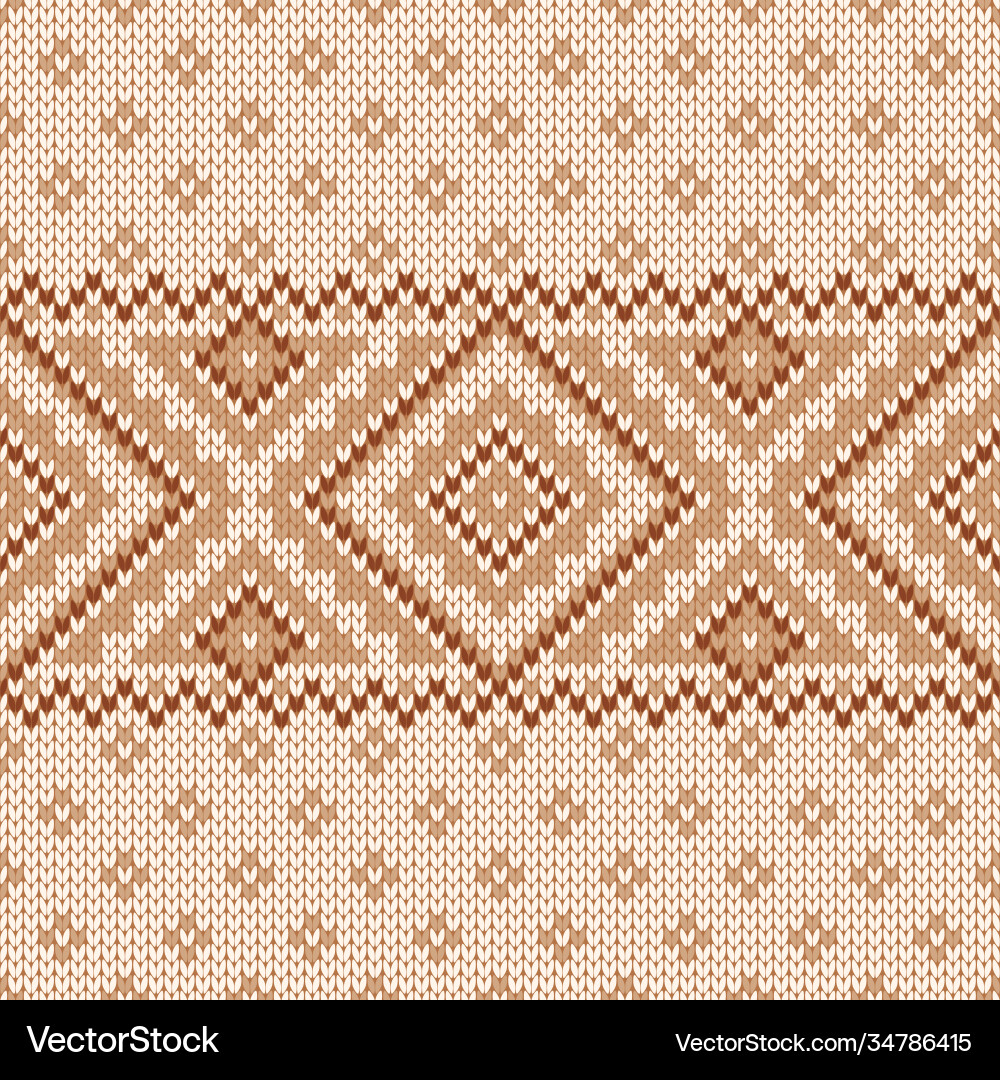 Norwegian native style sweater fair isle design Vector Image
