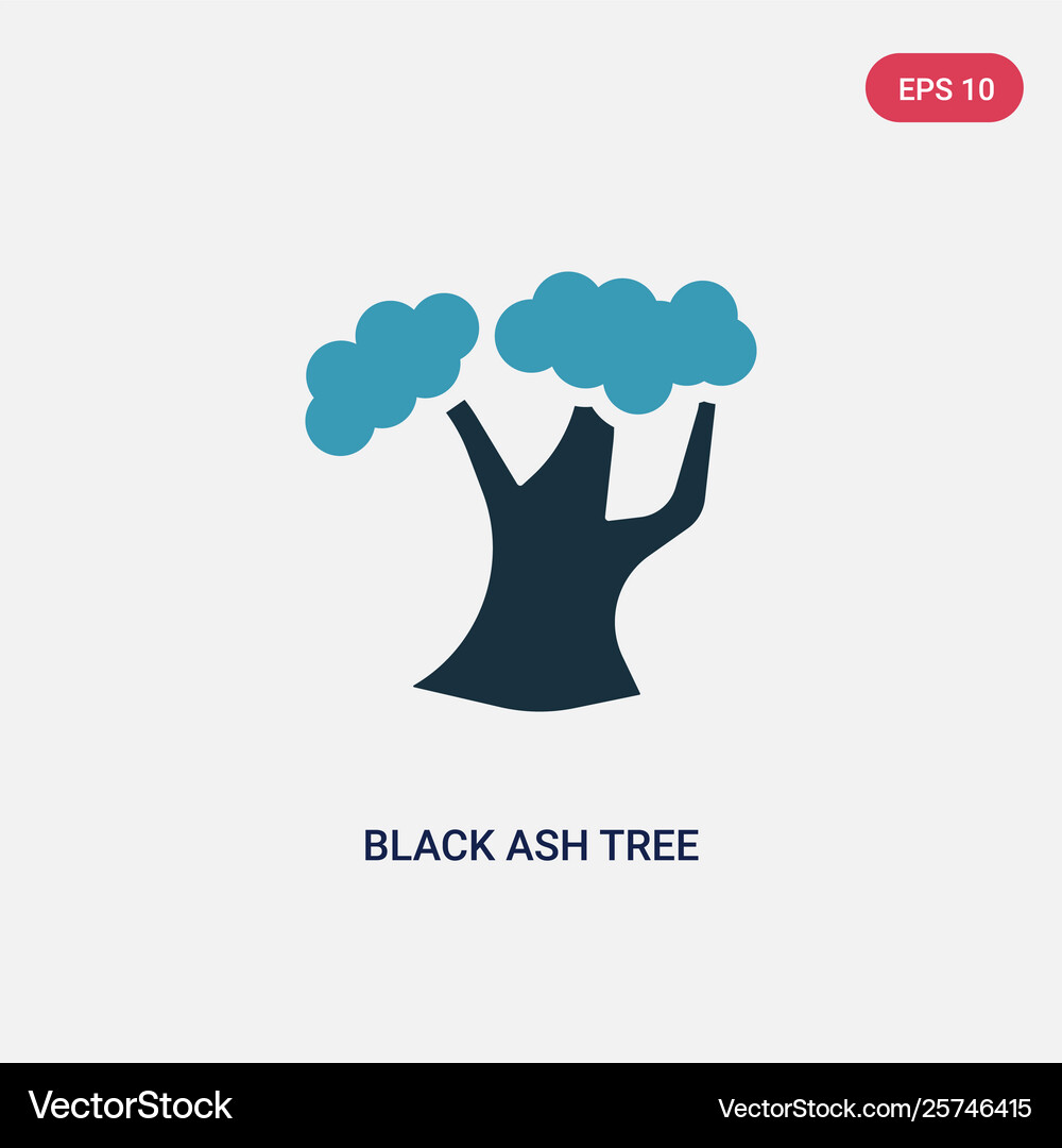 Two color black ash tree icon from nature concept Vector Image