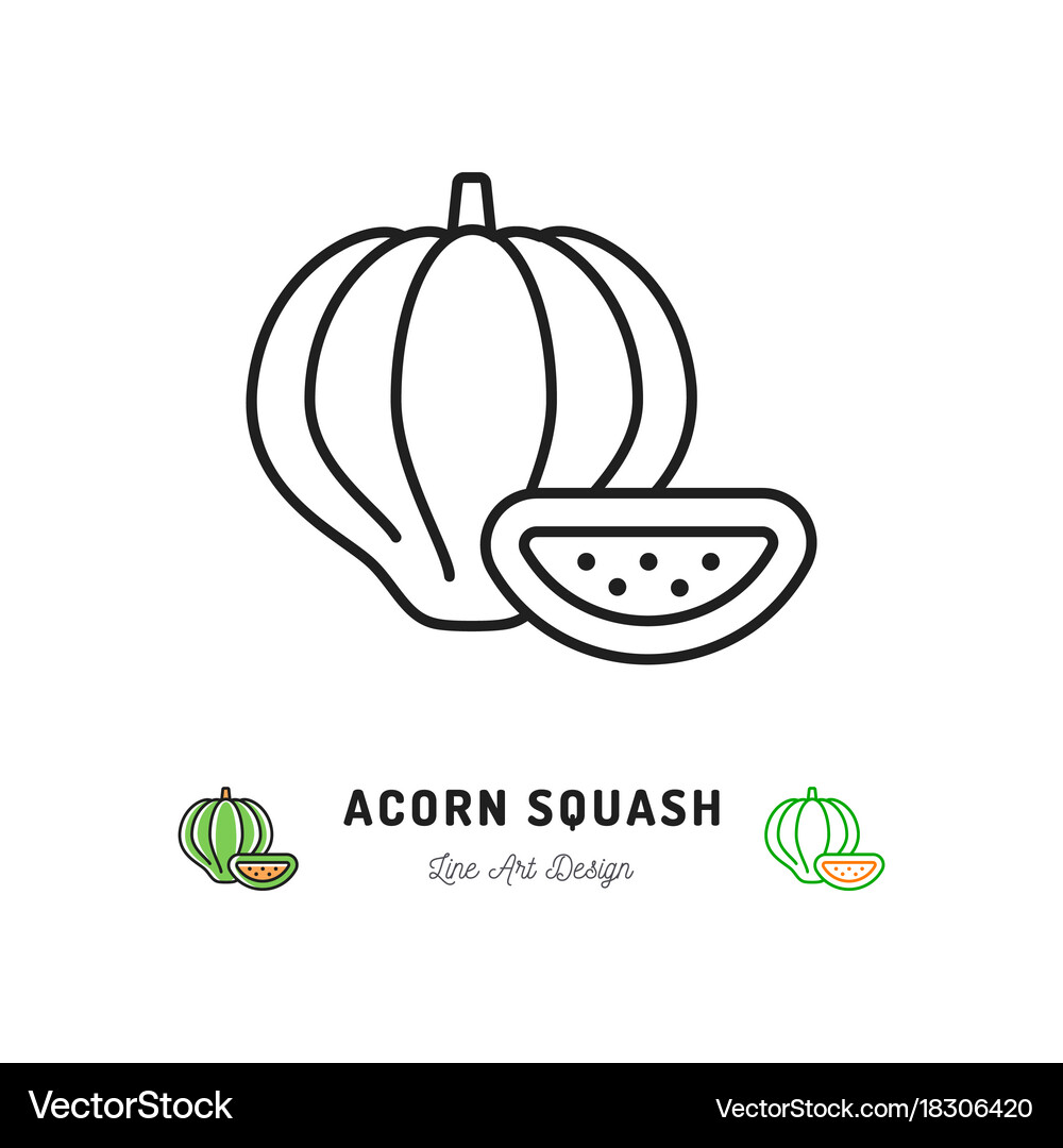 Acorn squash icon vegetables logo thin line art Vector Image