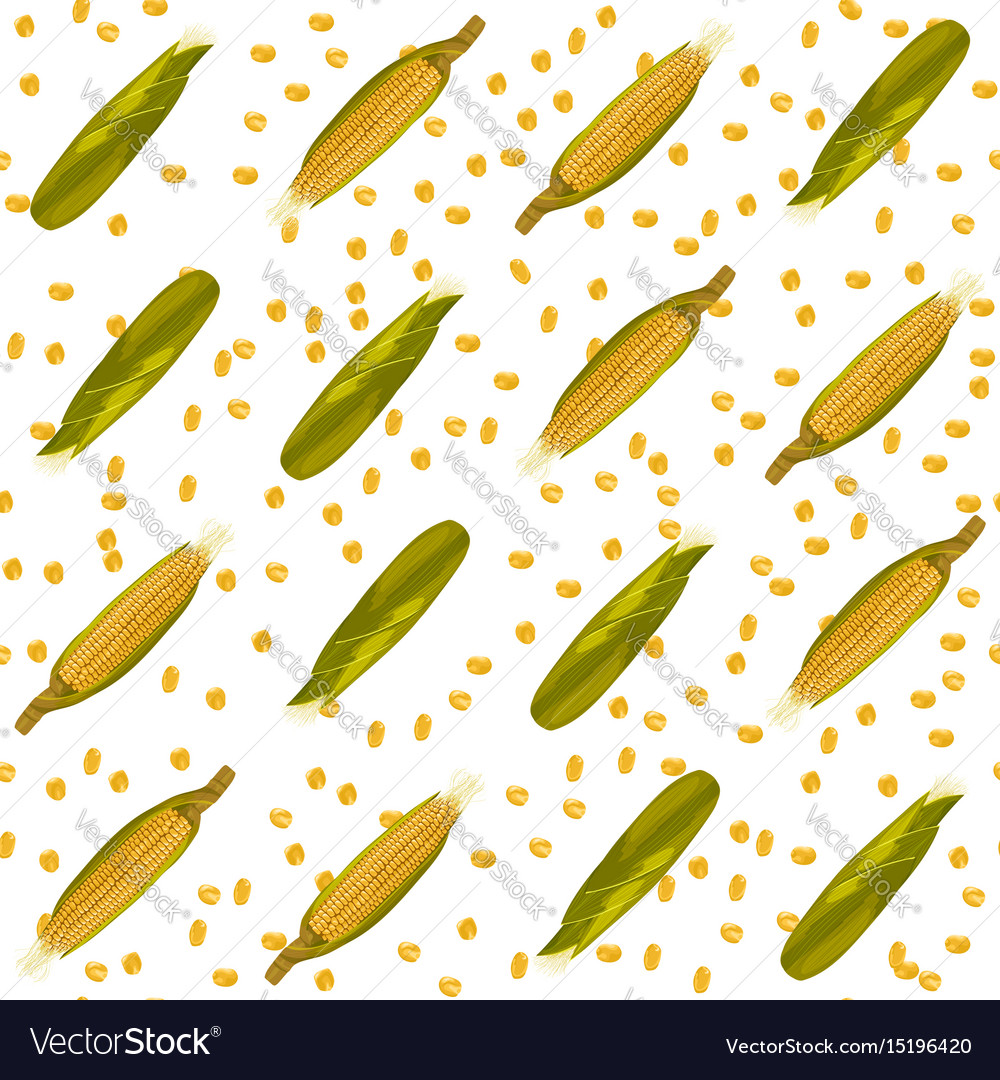 Corn maize seamless pattern realistic Royalty Free Vector