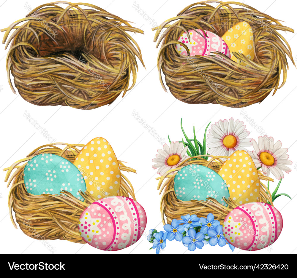 Watercolor bird nest collection Royalty Free Vector Image