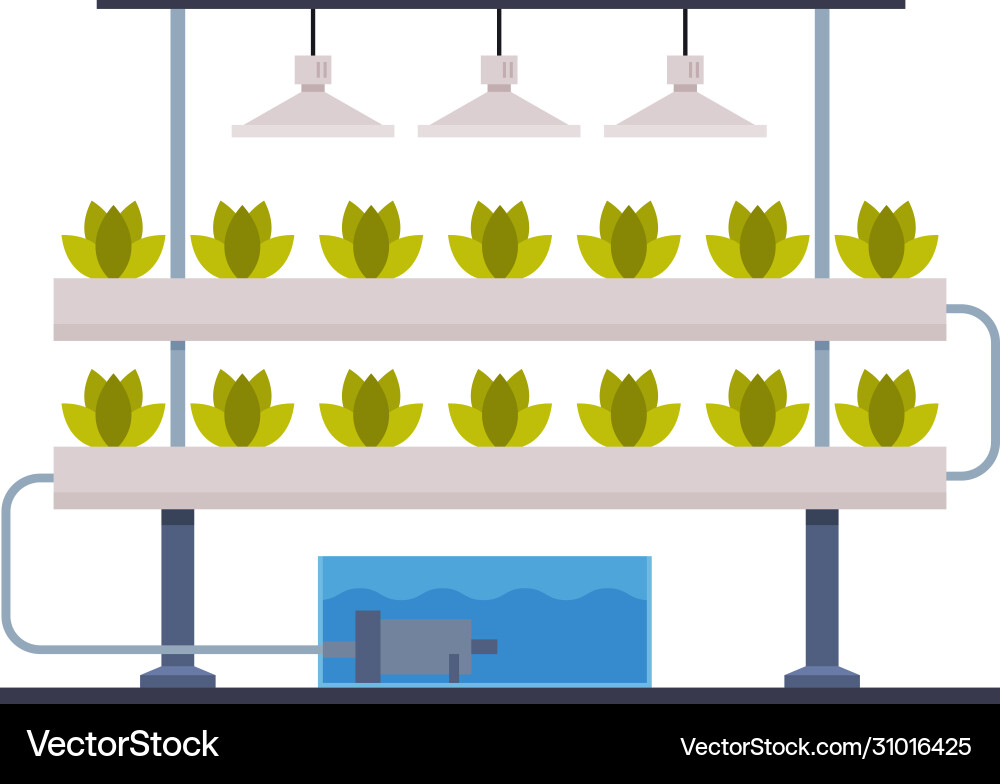 Hydroponics and aeroponics gardening system eco Vector Image