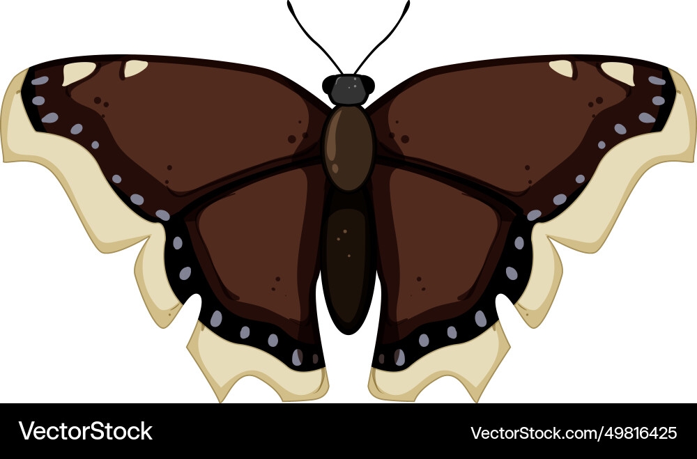 Nature butterfly cartoon Royalty Free Vector Image