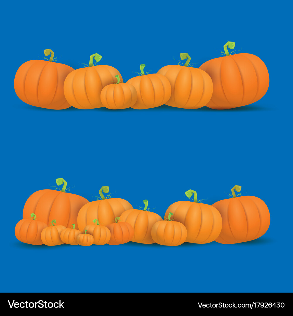 Autumn orange pumpkins border design Royalty Free Vector