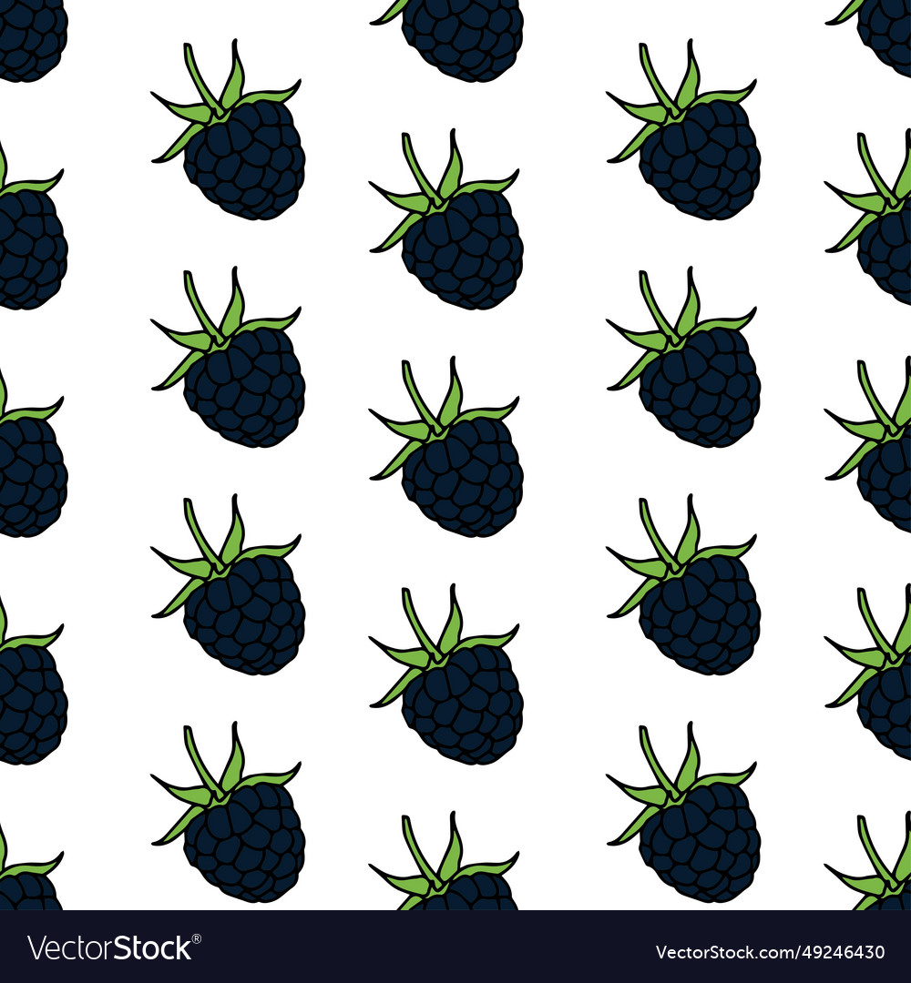 Blackberry seamless pattern Royalty Free Vector Image