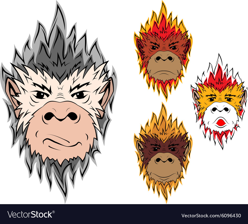 Fire monkey 2016 Royalty Free Vector Image - VectorStock
