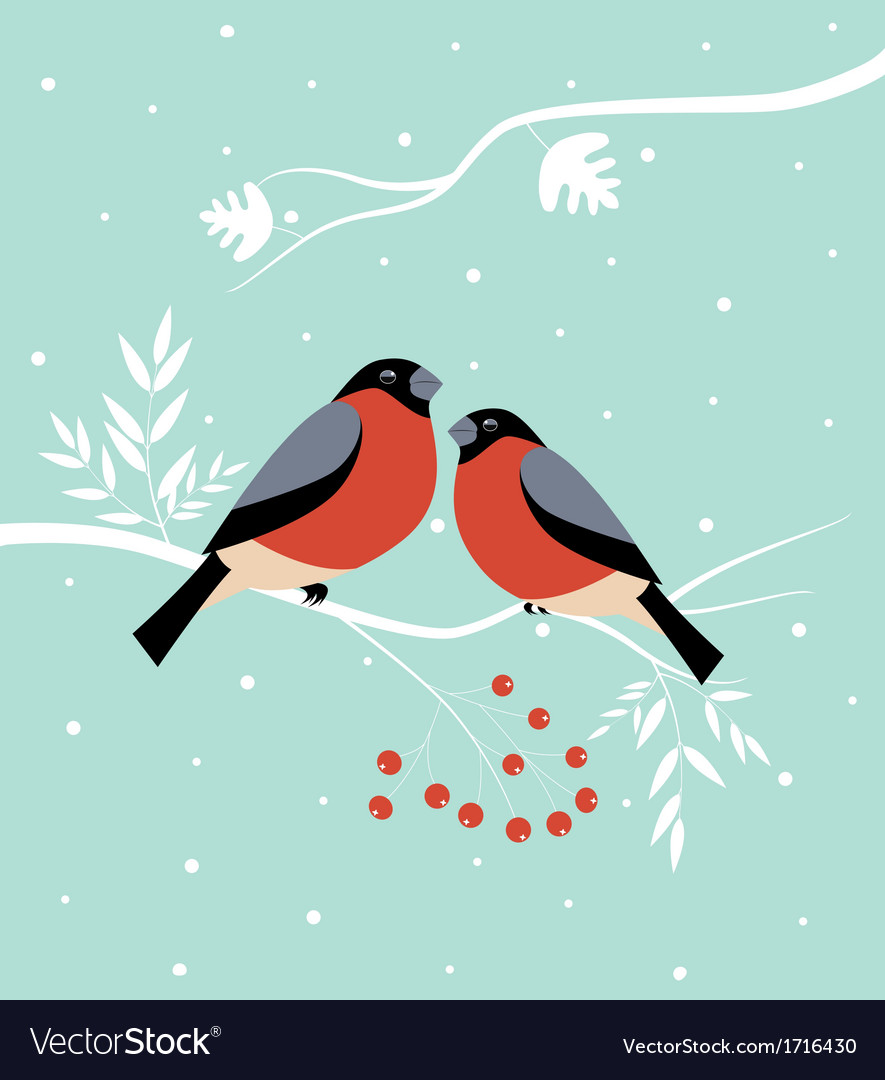 Two birds in winter Royalty Free Vector Image - VectorStock