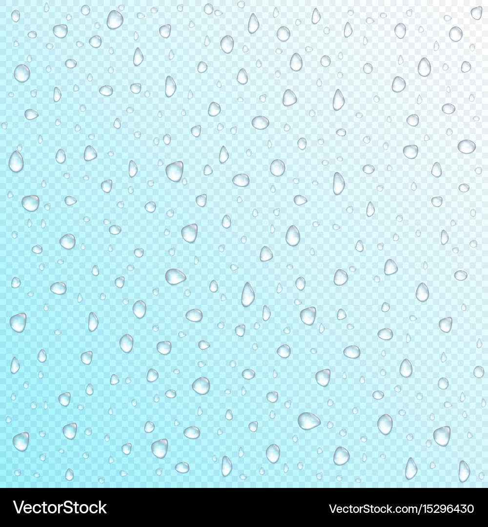 Waterdrops on transparent background Royalty Free Vector