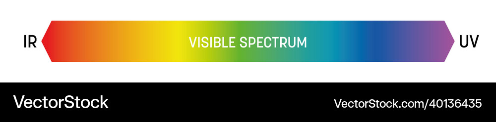 Colorful visible spectrum of light Royalty Free Vector Image