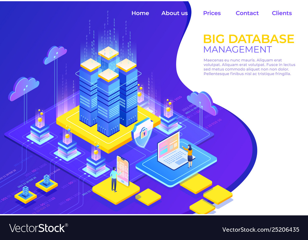 Database isometric concept server business Vector Image