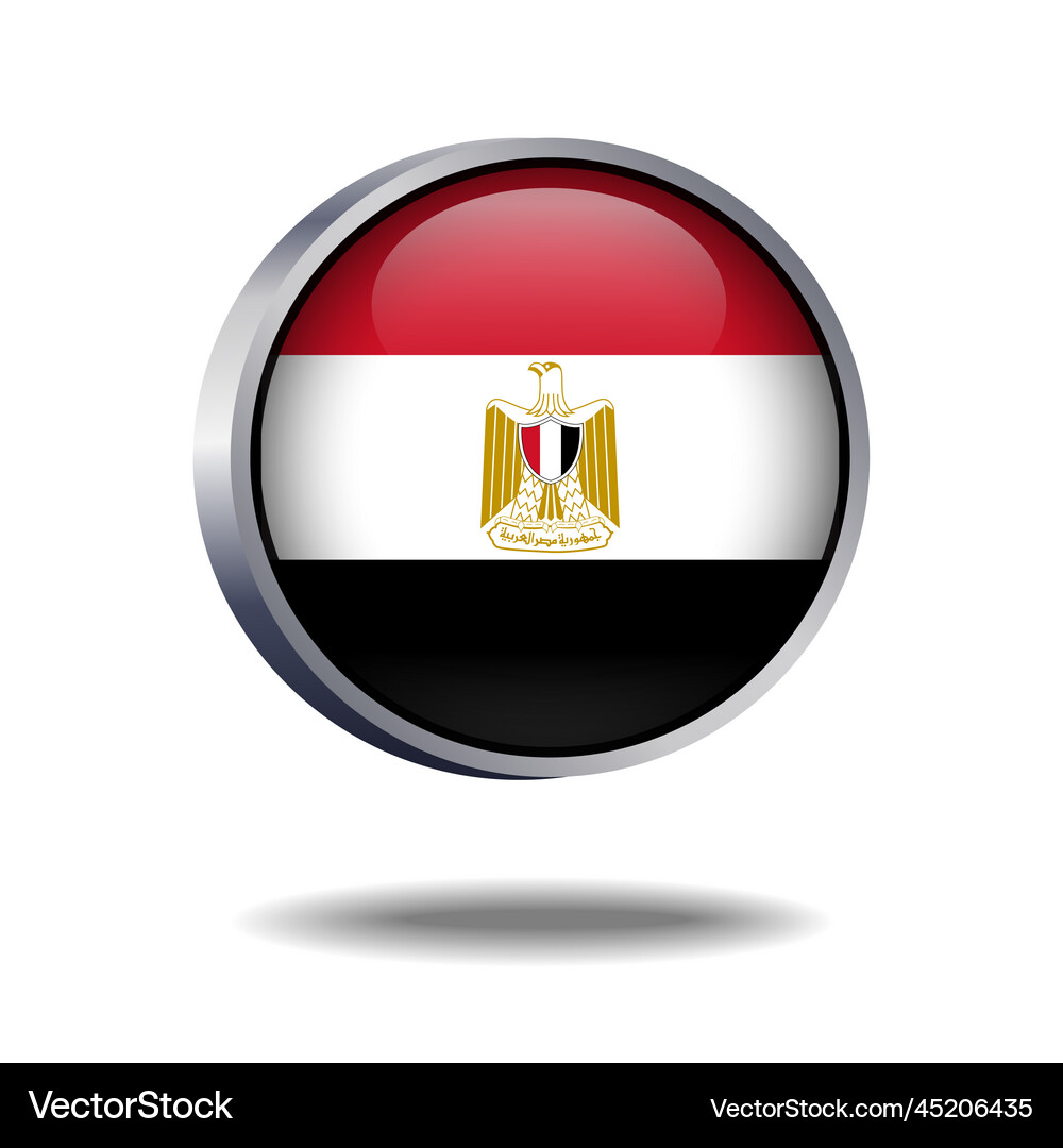 Egypt flag button Royalty Free Vector Image - VectorStock