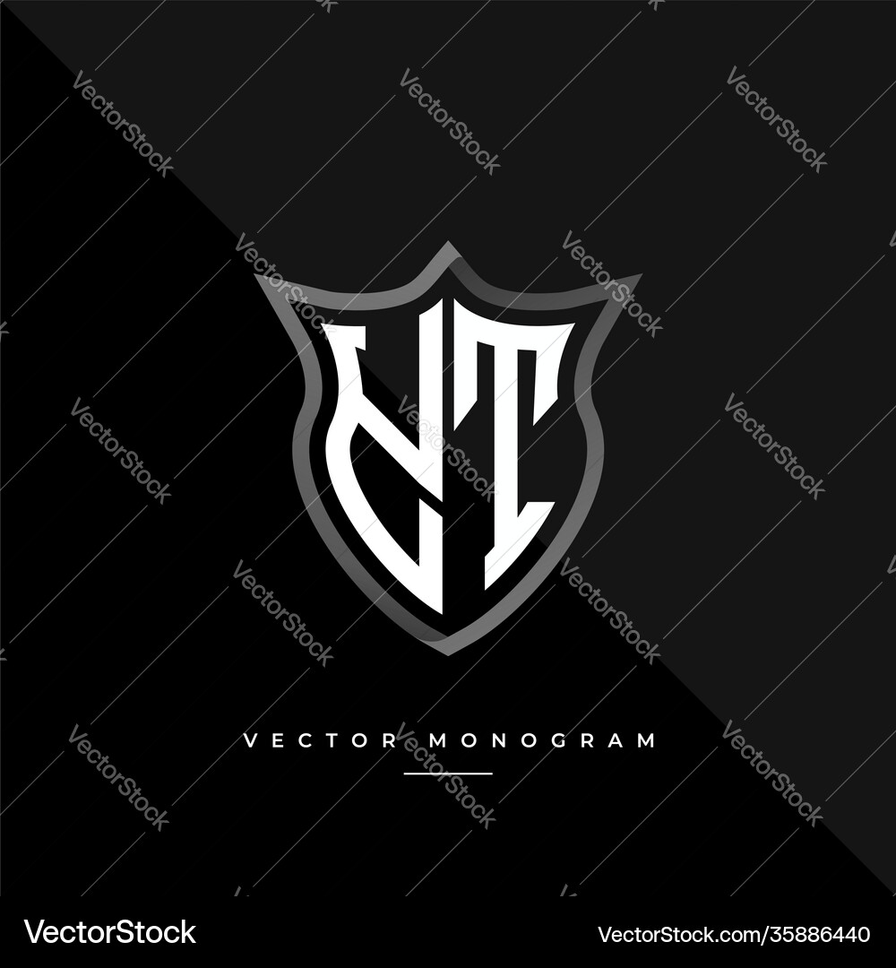 Letter yt logo design silver shield y t monogram Vector Image