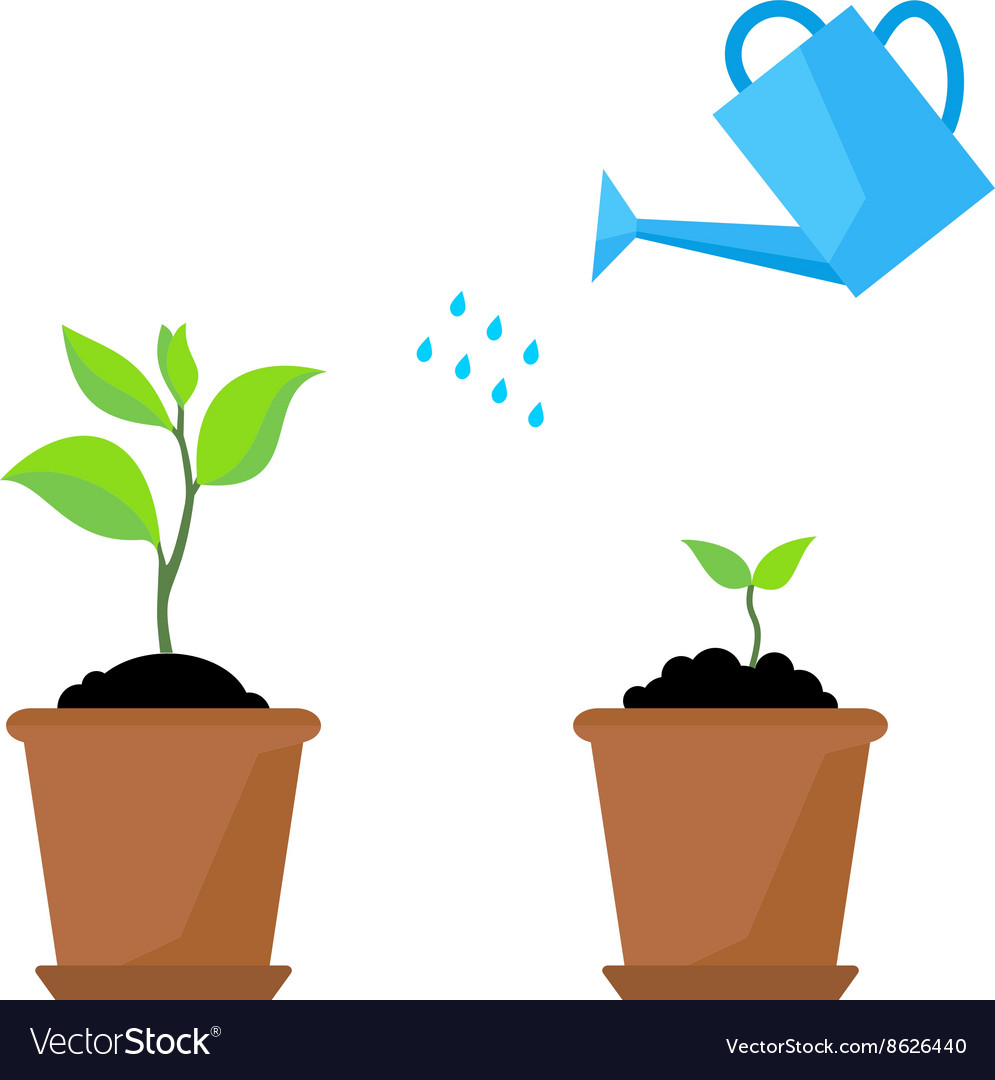 Timeline infographic planting tree process Vector Image Timeline infographic planting tree process Vector Image