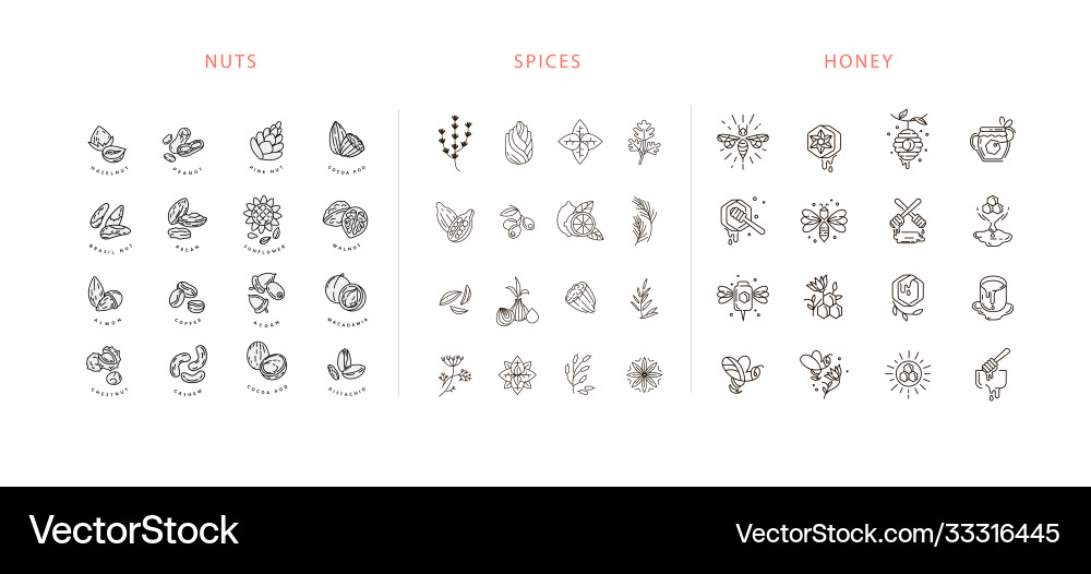 Icon and logo collection hot drinks spices Vector Image