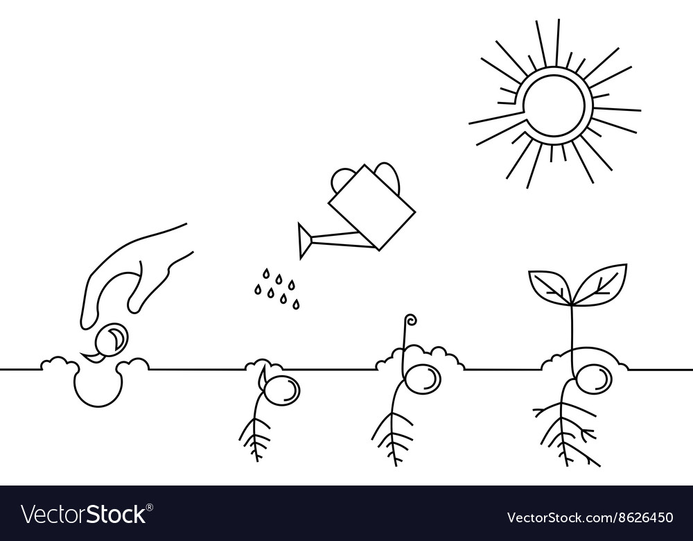 Timeline infographic of planting tree process Vector Image Timeline infographic of planting tree process Vector Image