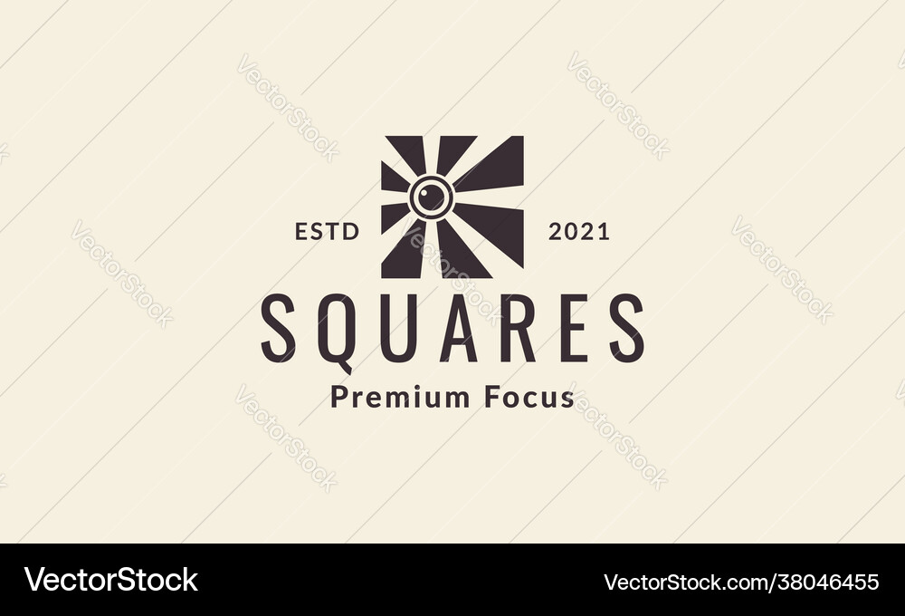 Eyes with square focus logo symbol icon graphic Vector Image