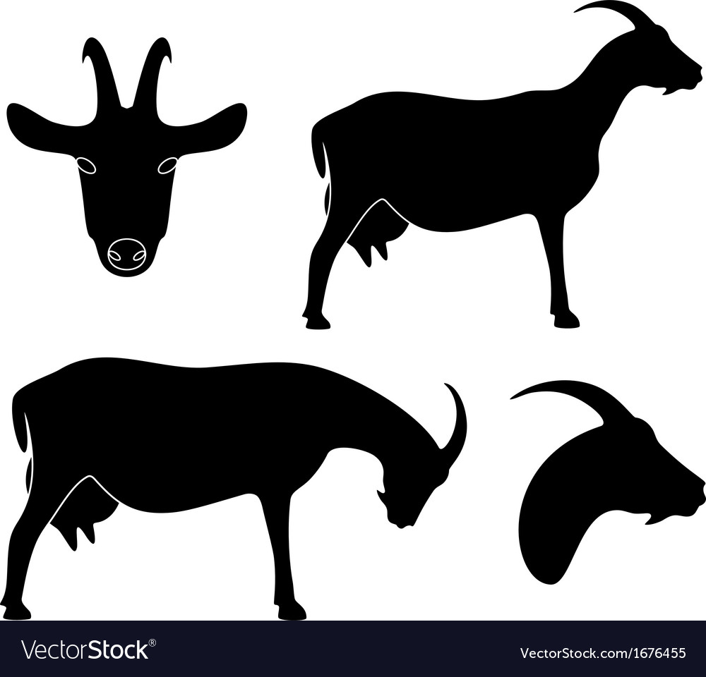 Goat Royalty Free Vector Image - VectorStock