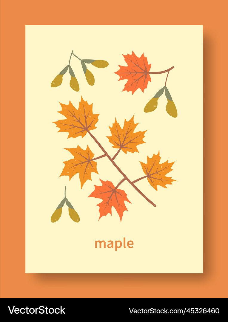 Abstract still life of maple Royalty Free Vector Image
