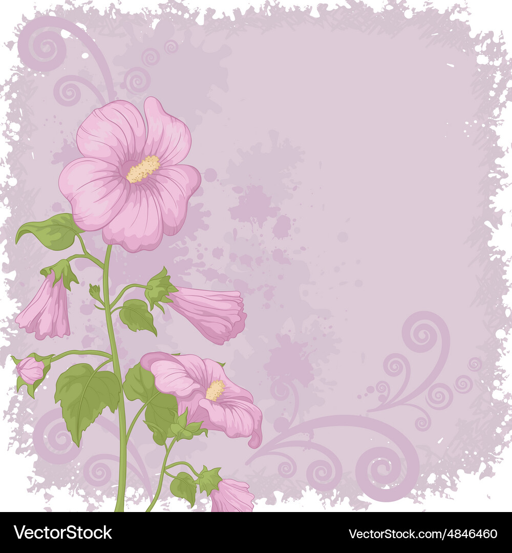 Holiday background with mallow flowers Royalty Free Vector