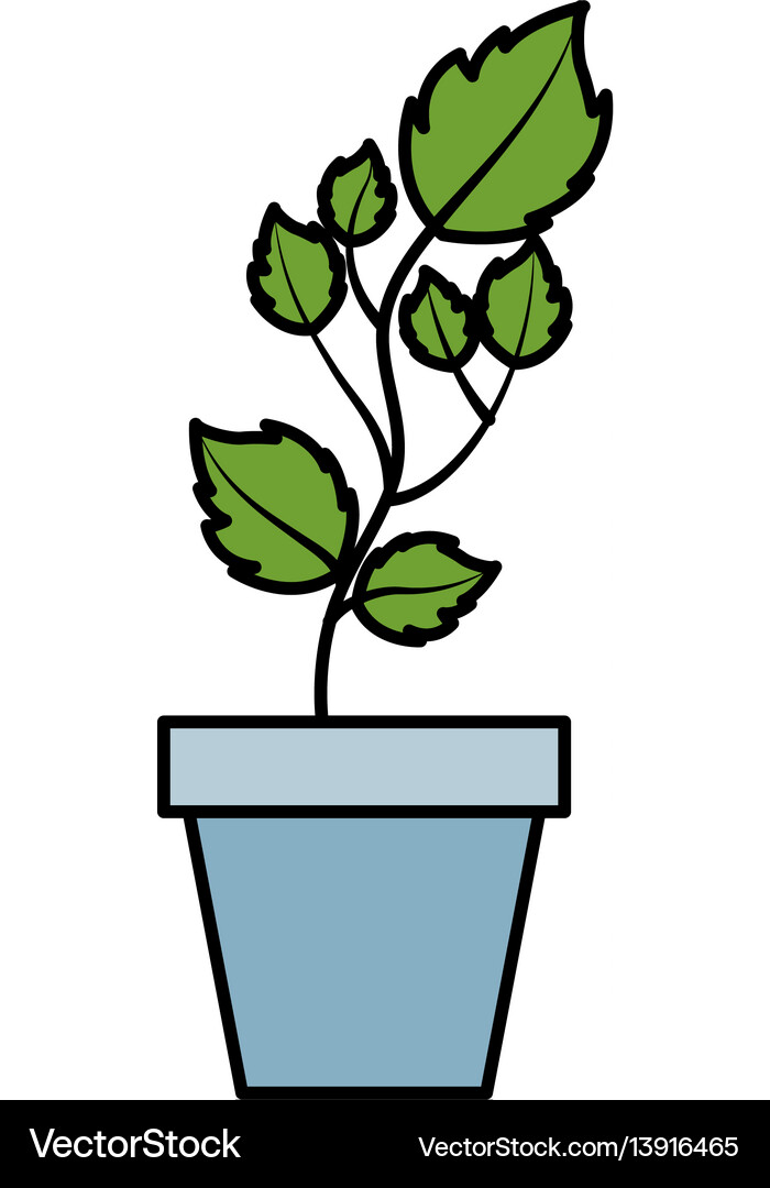 Cute garden flower in pot Royalty Free Vector Image