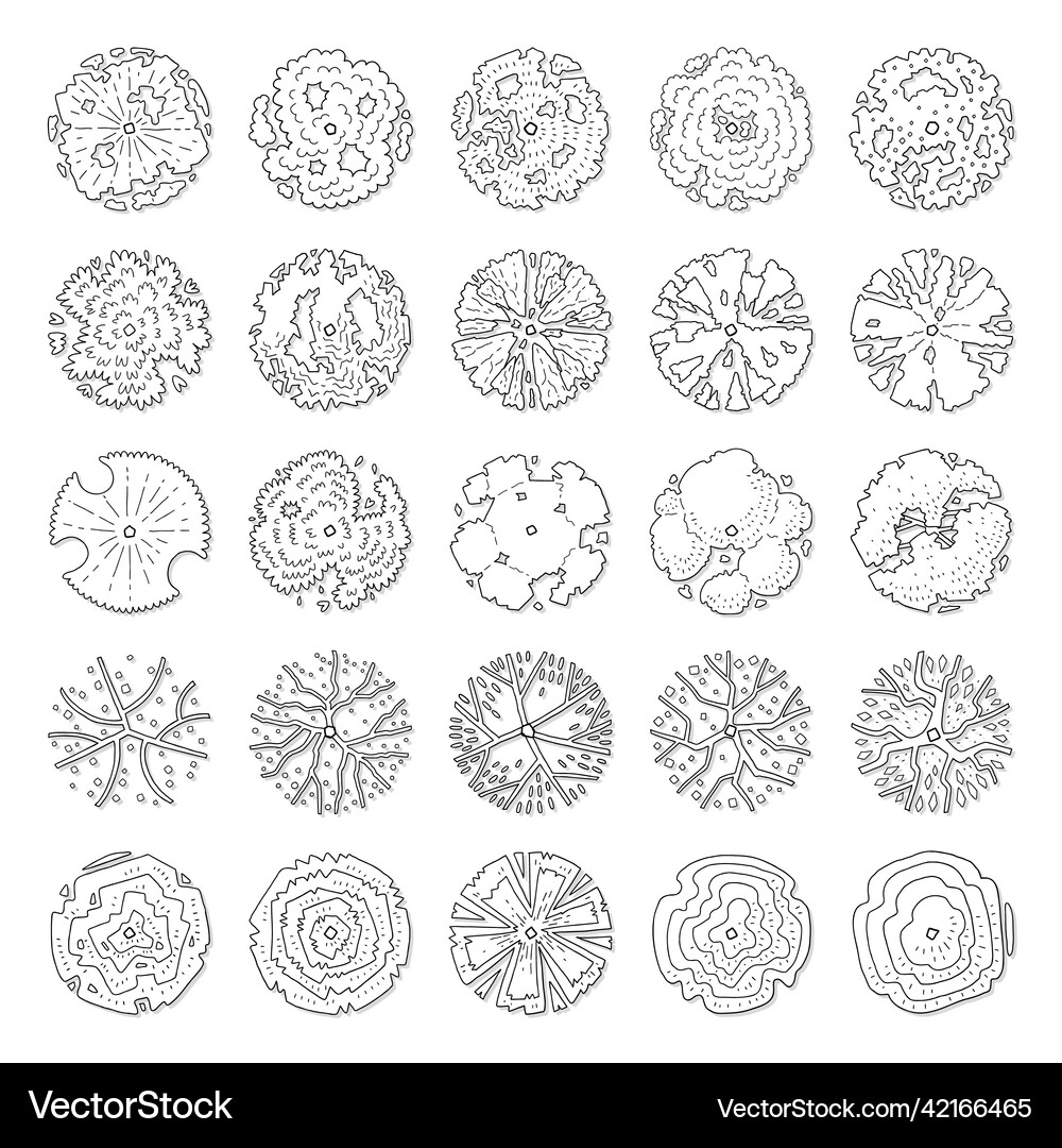 Hand drawn set of top view trees Royalty Free Vector Image