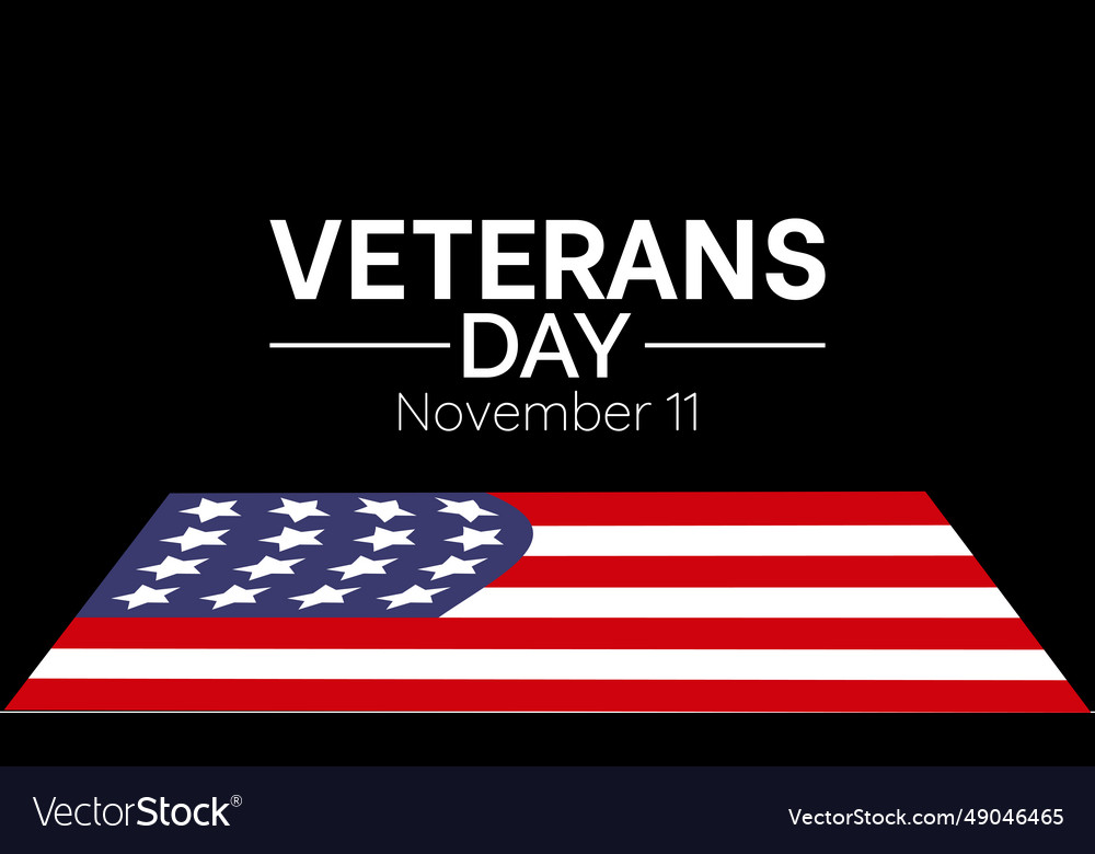 Veterans day tribute with american flag saluting Vector Image